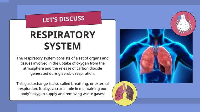Respiratory System power point presentation | PPT