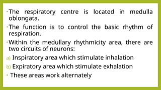 Respiratory system_1.pptx anatomy bsc nursing 1st semester | PPTX