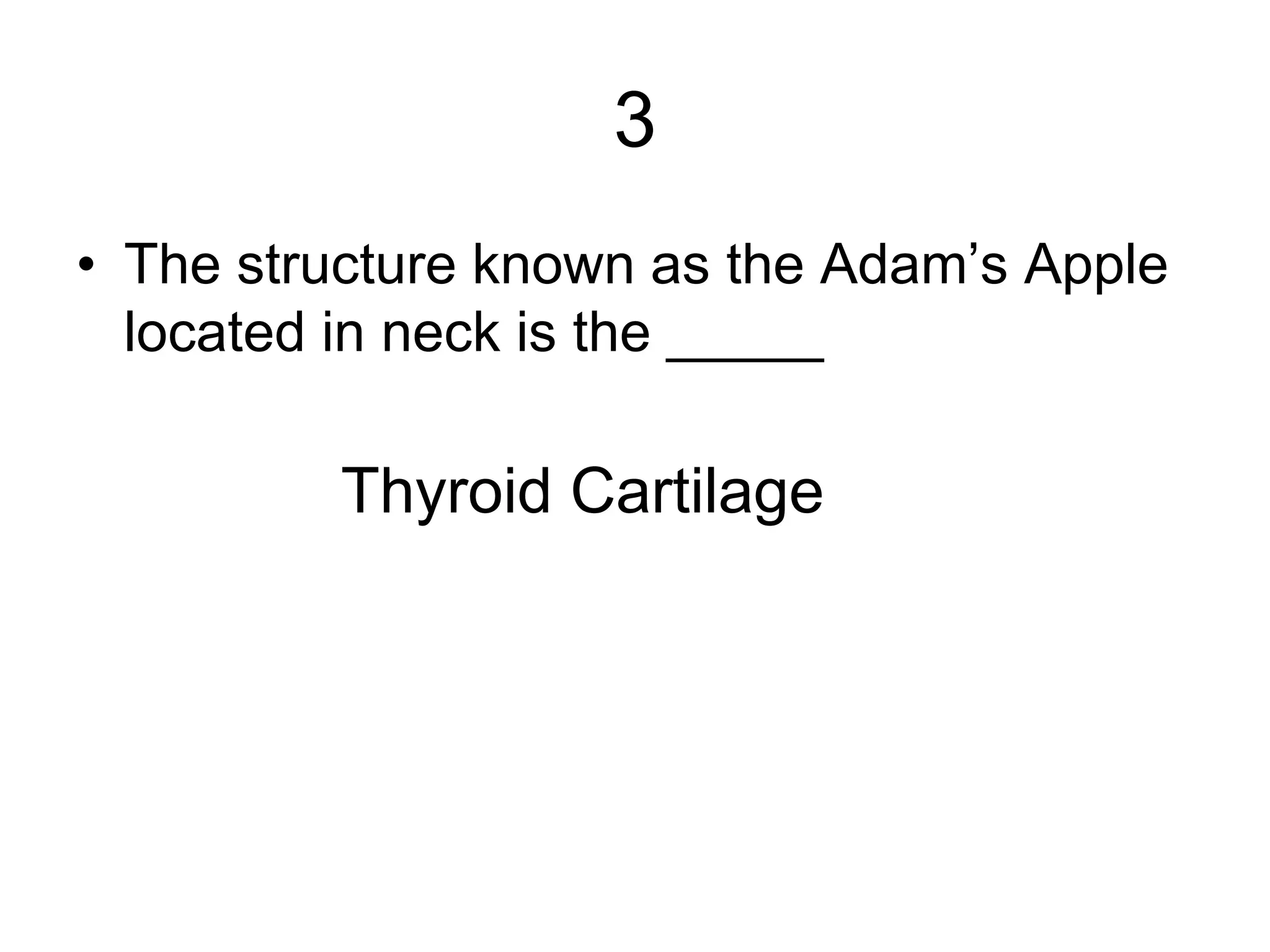 respiratorysystem (16).ppt