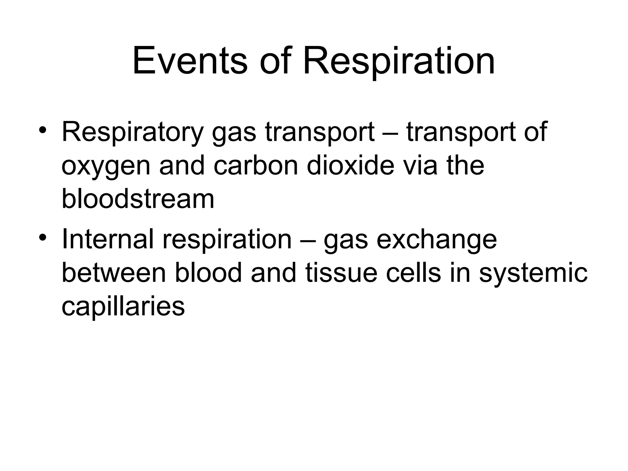The Respiratory system | PPT