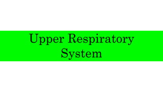 Respiratory System 1 (Upper Airway) - CB.pdf