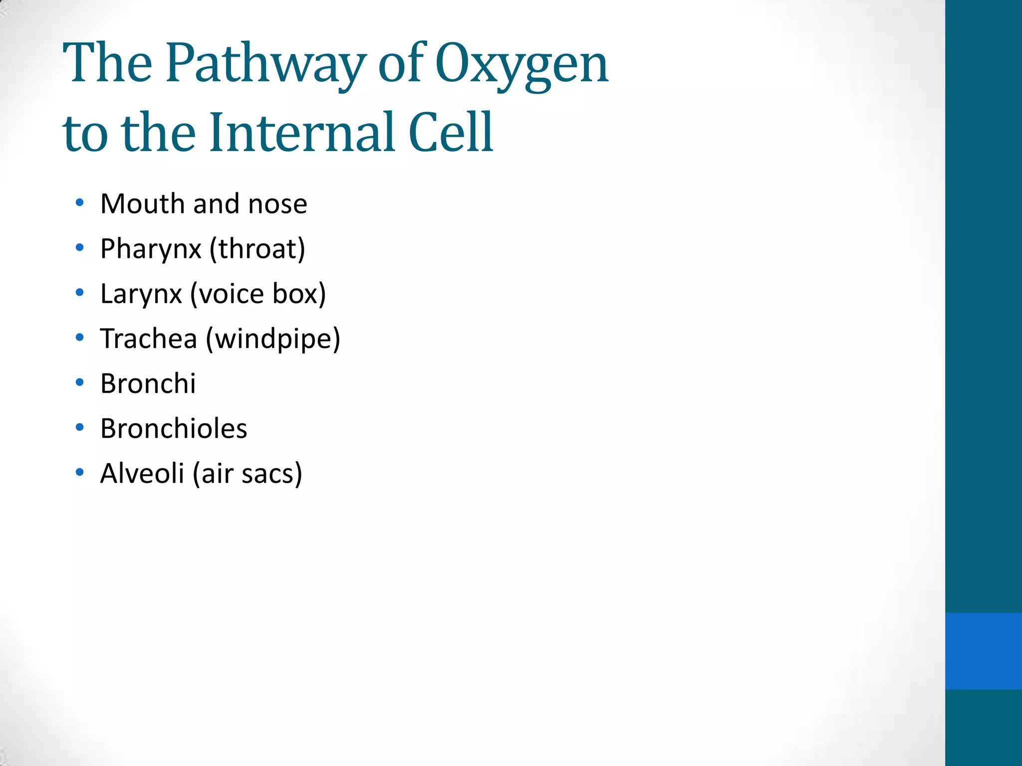 Respiratory system2 | PPTX