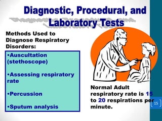 Respiratory system2 | PPT