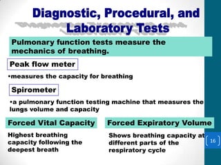 Respiratory system2 | PPT