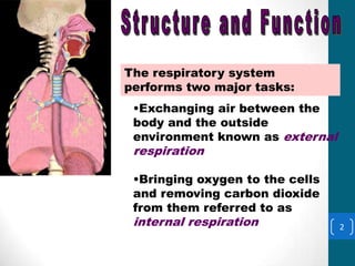 Respiratory system2 | PPT