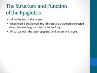 Respiratory system2 | PPT