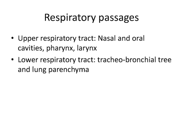 Respiratory system | PPT