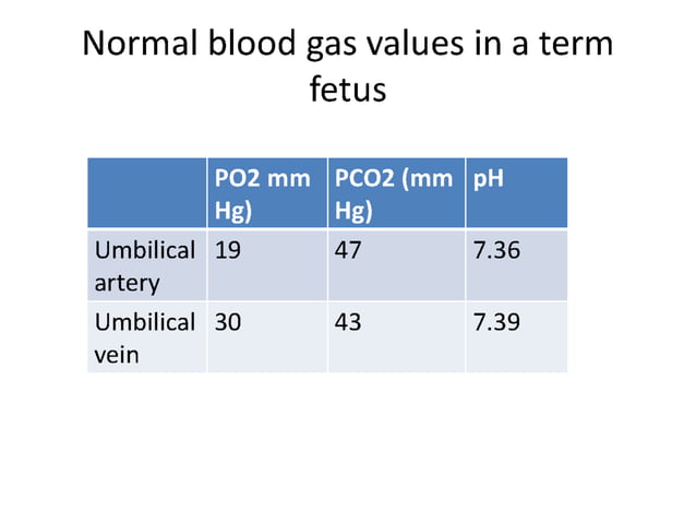 Respiratory system | PPT
