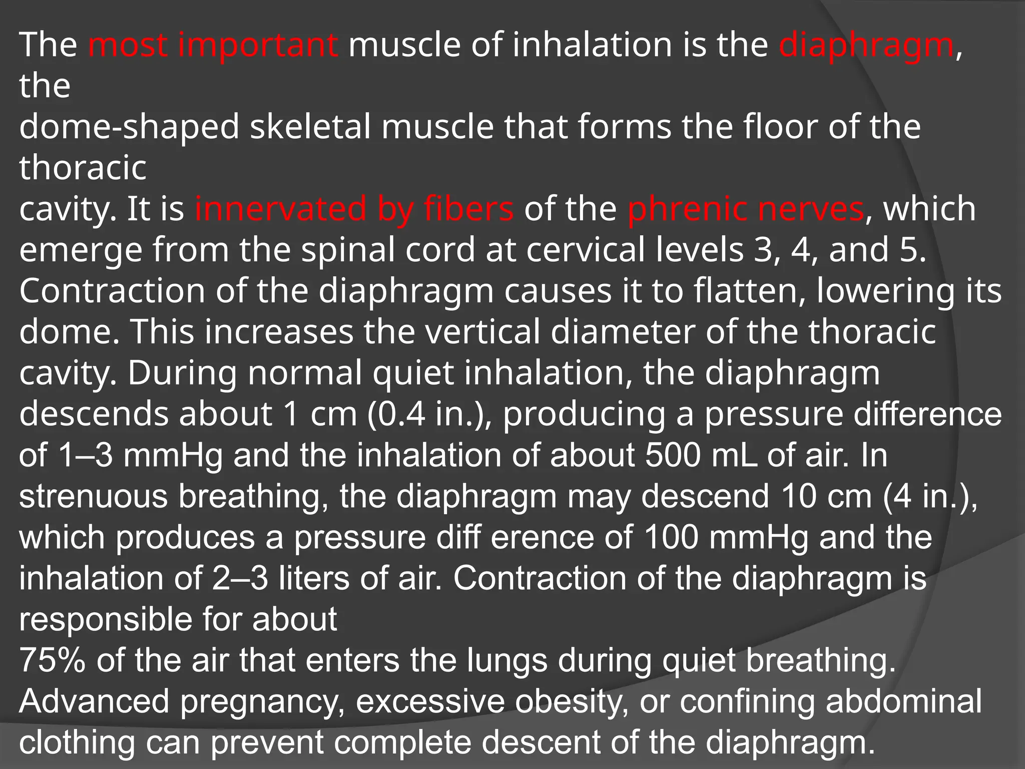 respiratory system 2 detailed explanation | PPTX
