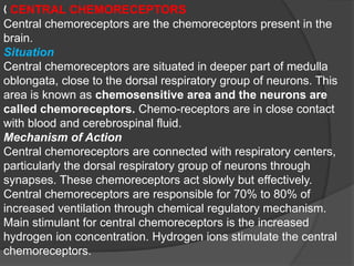respiratory system 2 detailed explanation | PPTX