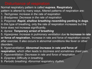 respiratory system 2 detailed explanation | PPTX