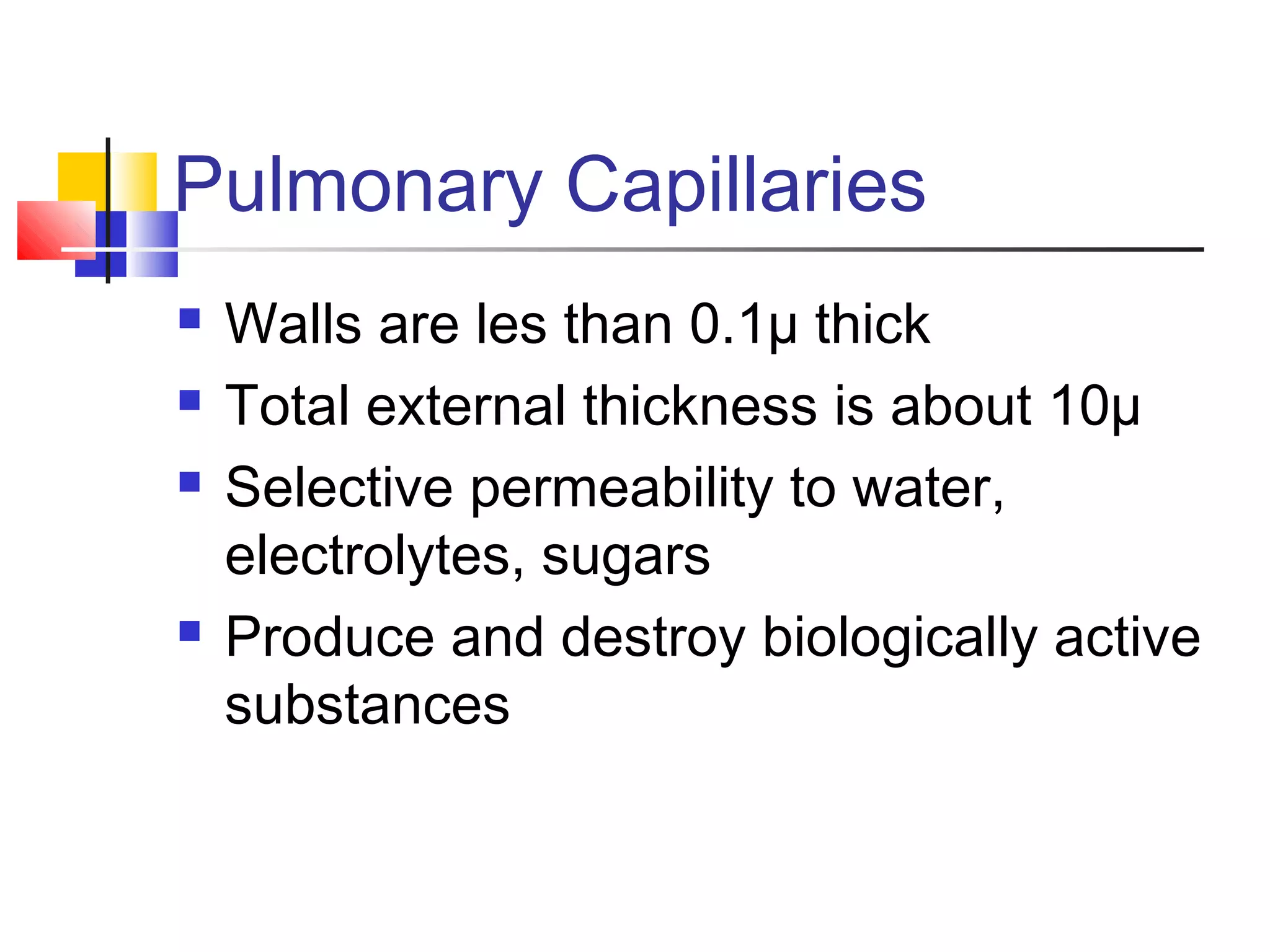 Basic Pulmonary anatomy | PPT