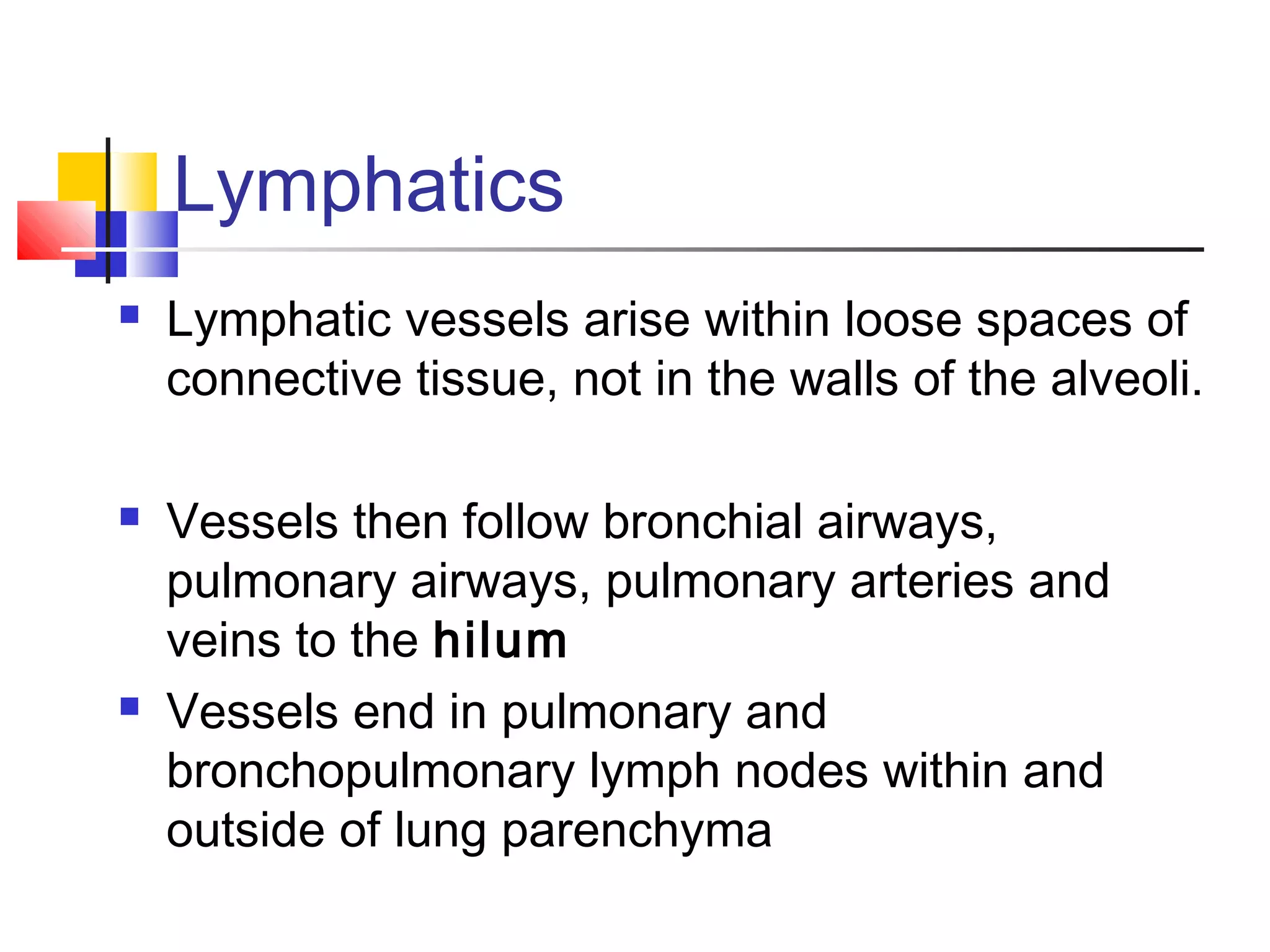 Basic Pulmonary anatomy | PPT
