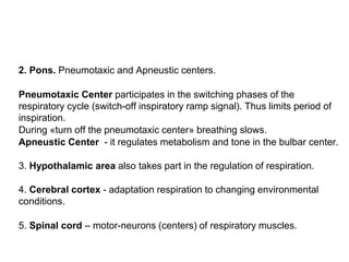 Respiratory system 3.pdf | Free Download