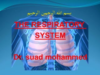 respiratory system 54172for anatomy students.ppt