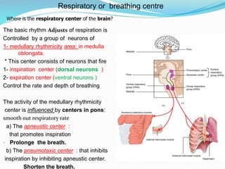 respiratory system 54172for anatomy students.ppt