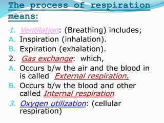 respiratory system 54172for anatomy students.ppt