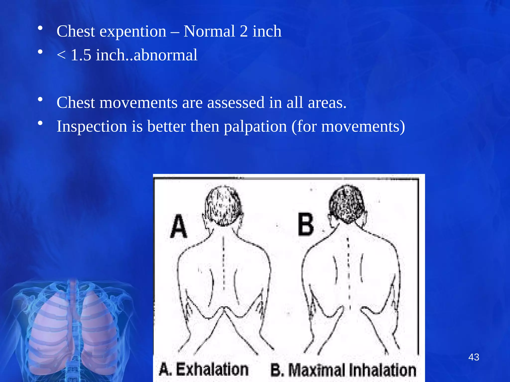 Respiratory system analysis & Diagnosis Assessment.pdf