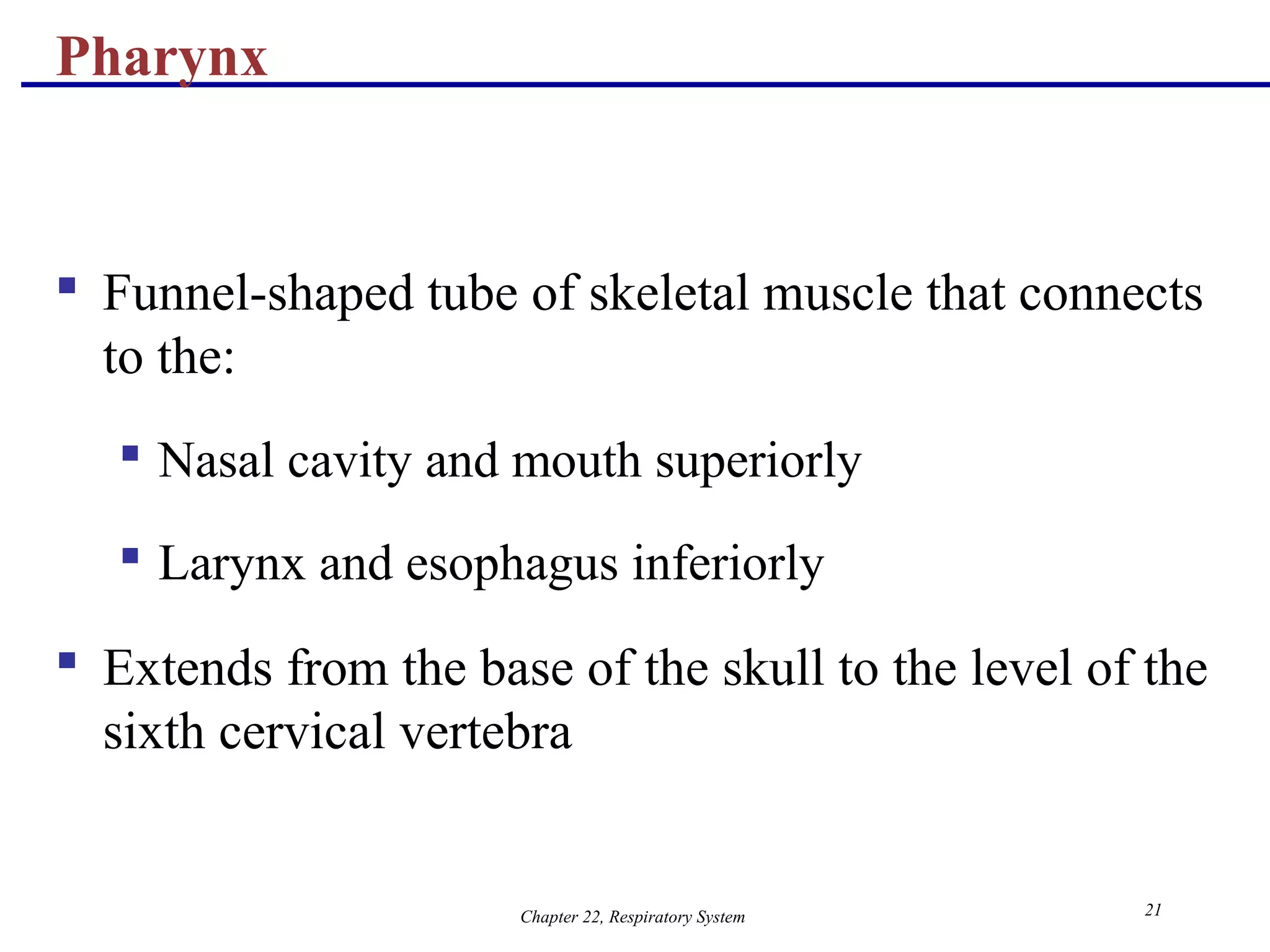 respiratory system anatomy.pdf