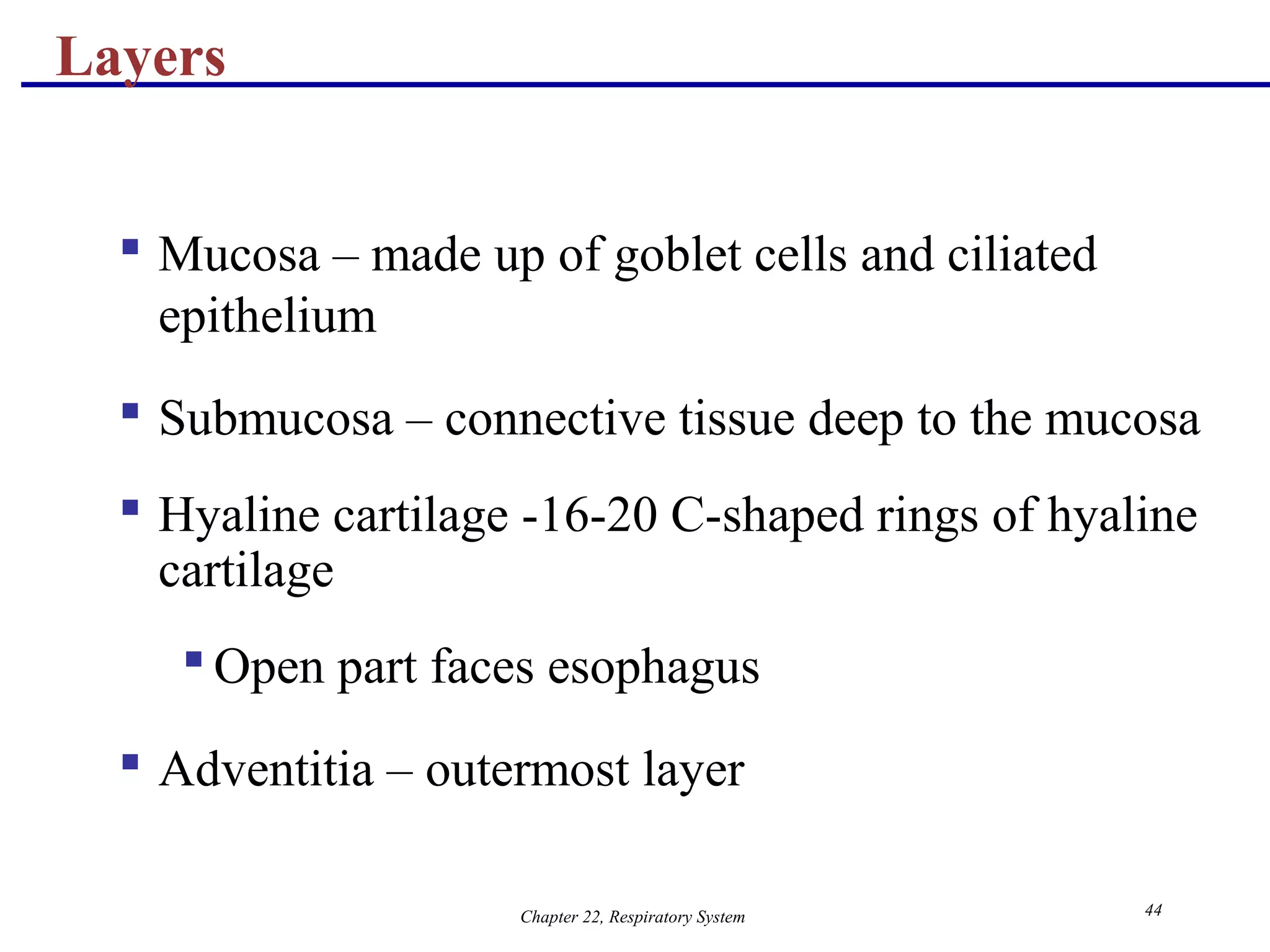 respiratory system anatomy.pdf