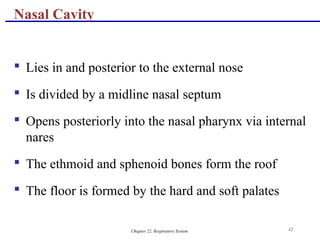 respiratory system anatomy.pdf