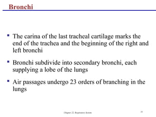 respiratory system anatomy.pdf