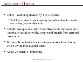 respiratory system anatomy.pdf