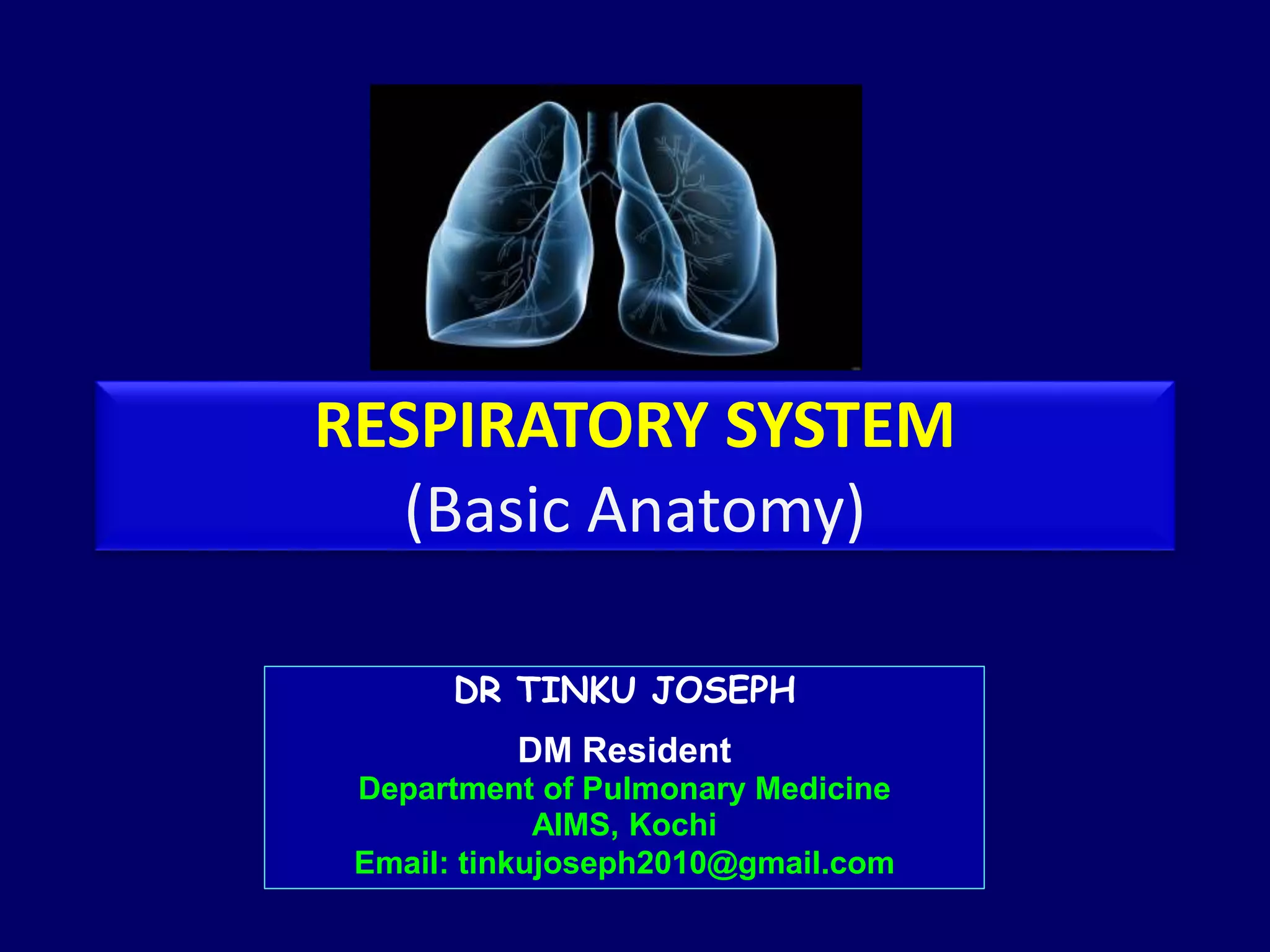 Respiratory system anatomy Dr.Tinku Joseph | PPTX