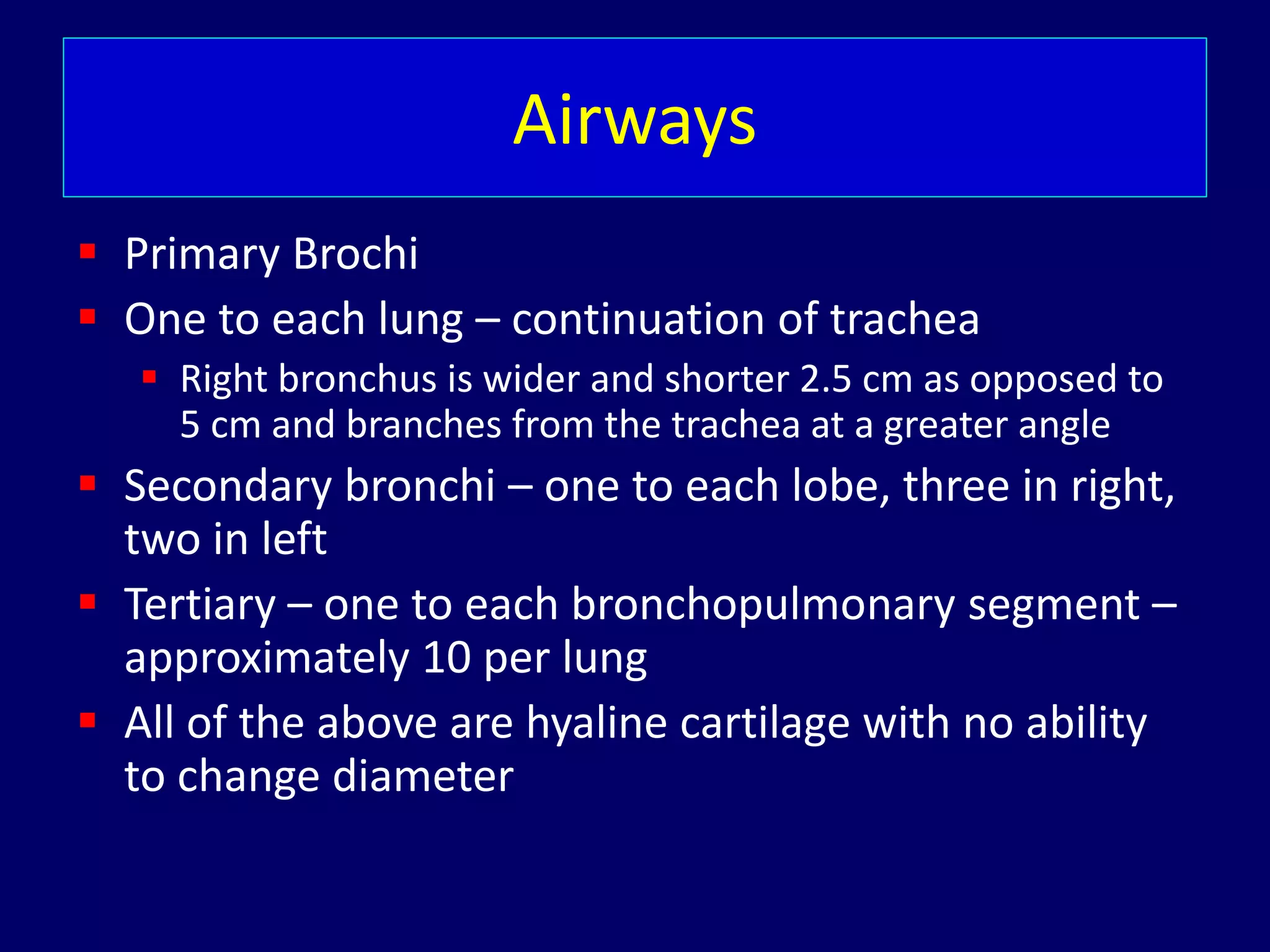 Respiratory system anatomy Dr.Tinku Joseph | PPTX