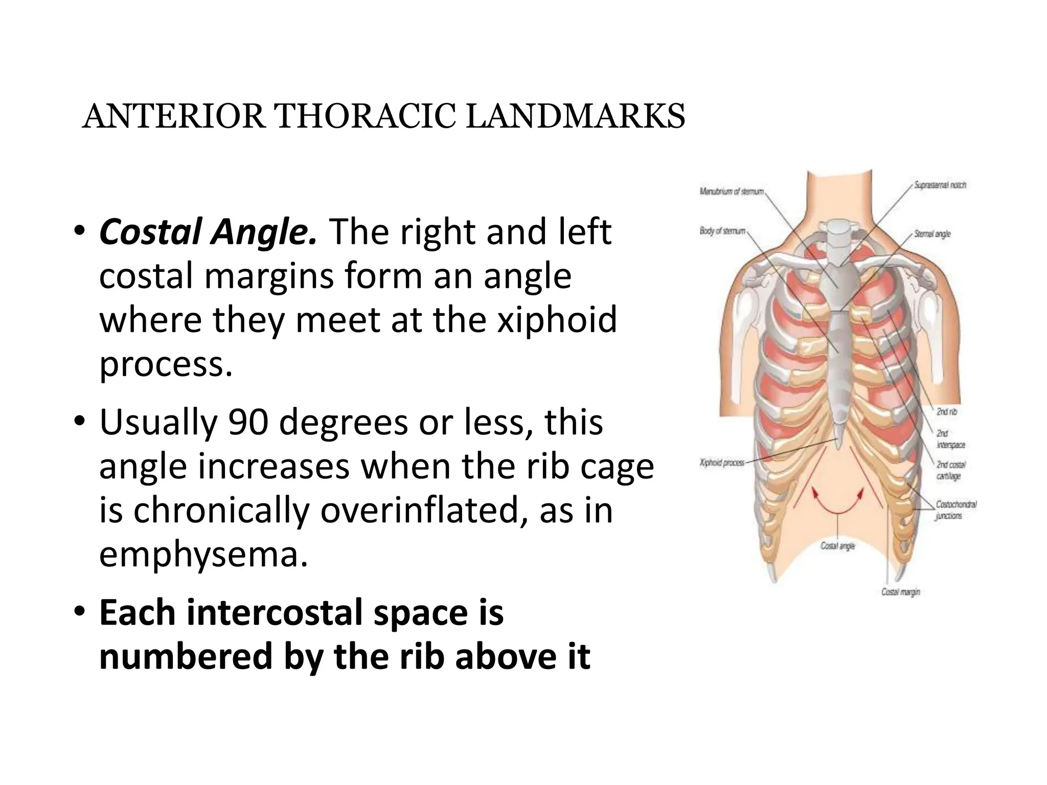 Respiratory system assessment Zu 2023 updated (1).pptx