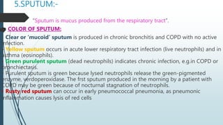 Respiratory system Diseases | PPTX