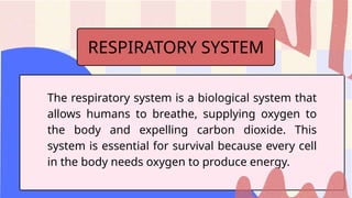 Respiratory System Biology Presentation in a Blue Pink Bold Style ...