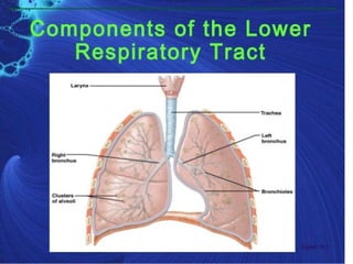 RESPIRATORY SYSTEM PATHOLOGY (BSC NURSING).pptx