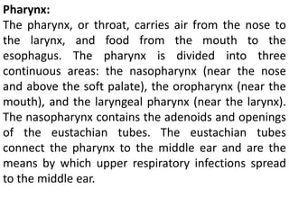 Respiratory system by A.H..pptx