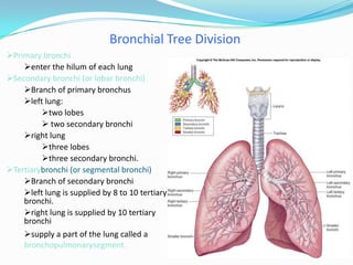 Respiratory system by_monalisa | PPT
