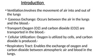 respiratory system copy presentation by dr ela | PPT