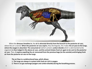 Respiratory system dinos | PPTX