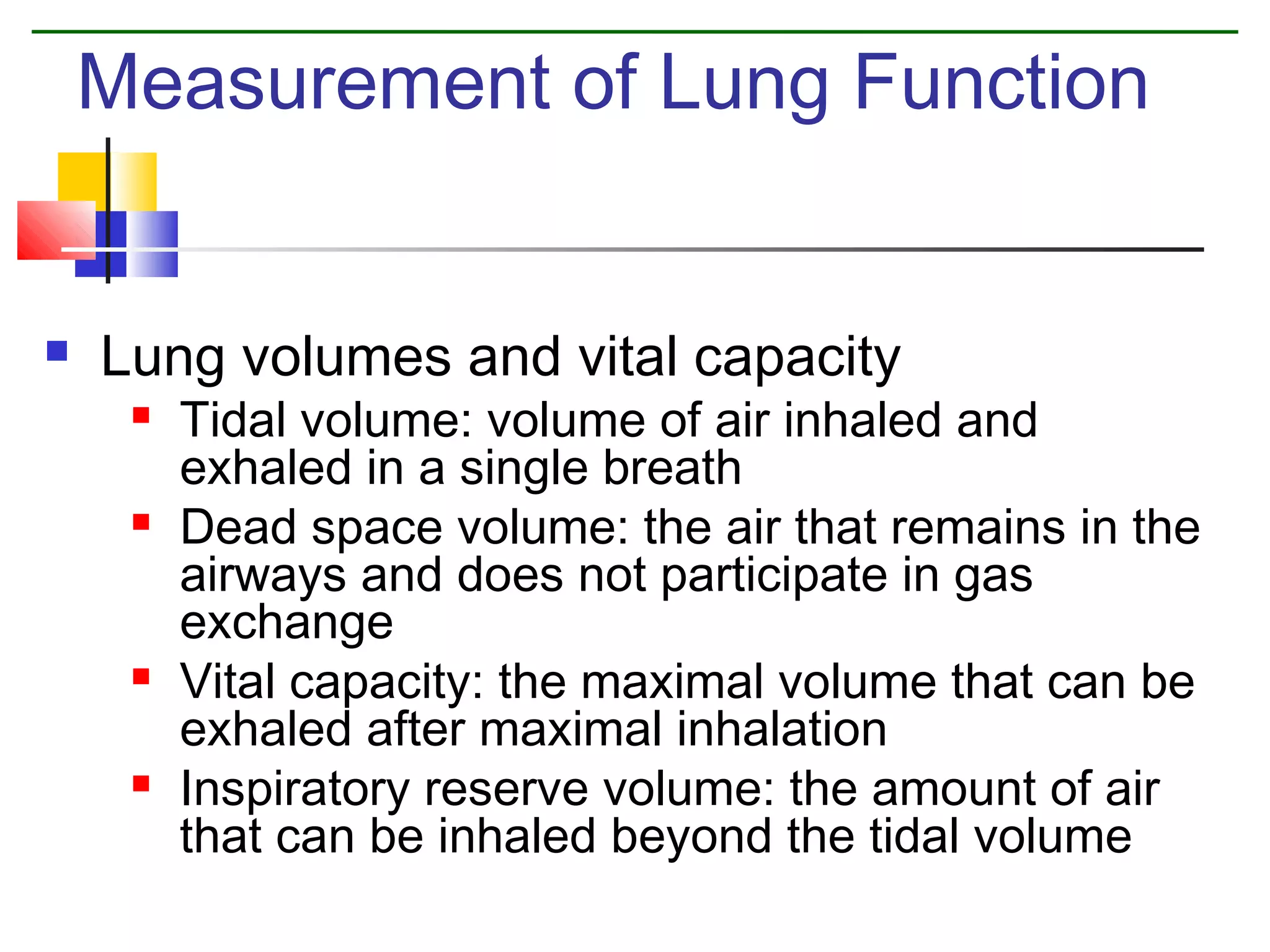 Respiratory system dock | PPT