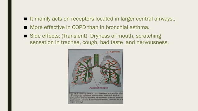 Respiratory system drugs.pptx