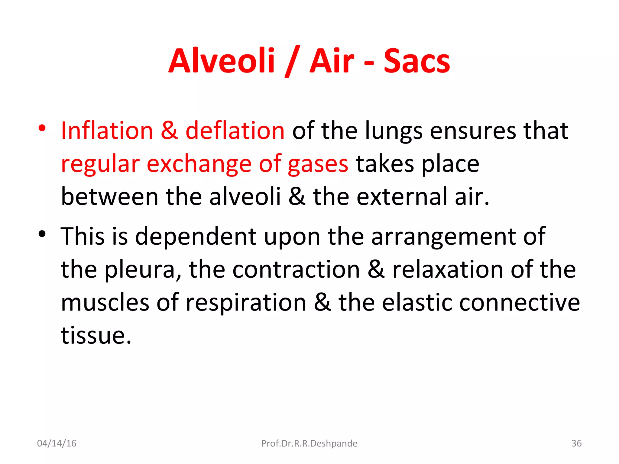Respiratory system part 1 | PPT