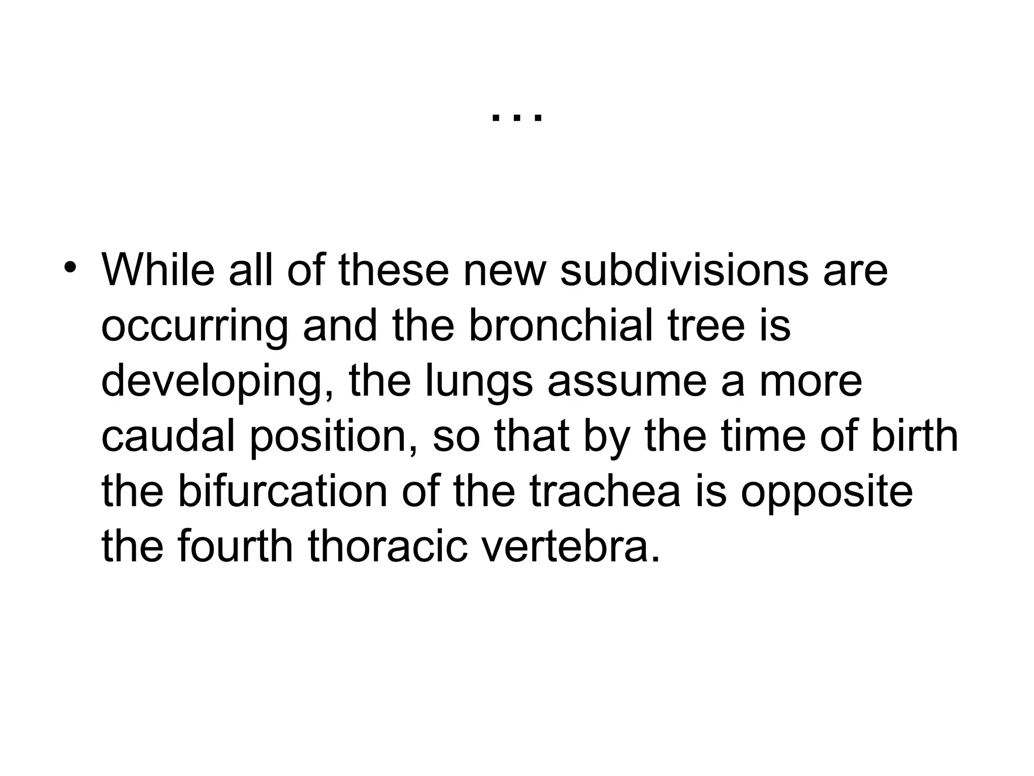 RESPIRATORY SYSTEM EMBRYOLOGY (Anatomy 2) | PPT