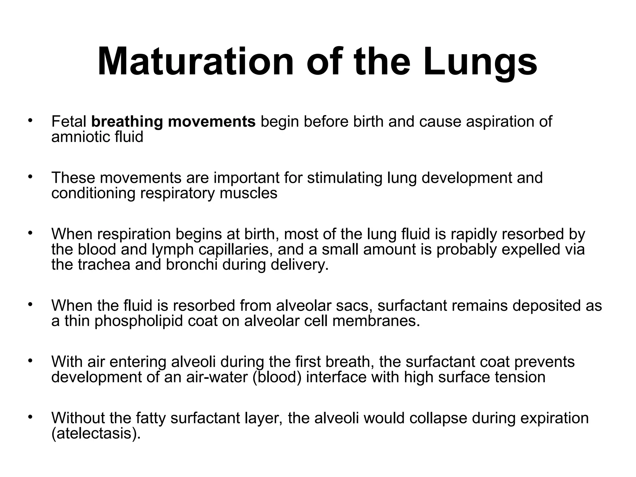 RESPIRATORY SYSTEM EMBRYOLOGY (Anatomy 2) | PPT