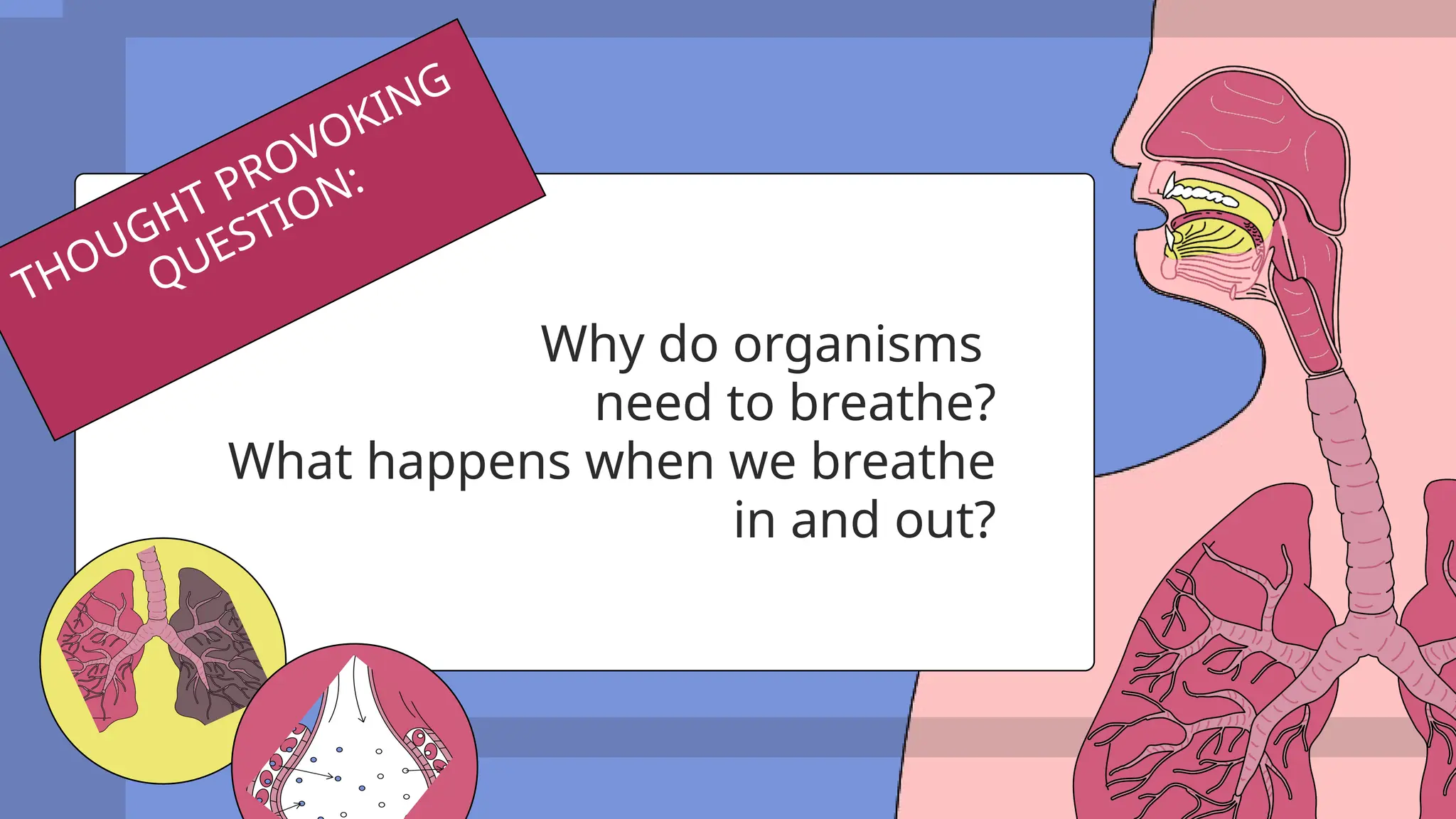 Respiratory System (Enhanced Science 9 Class).pptx