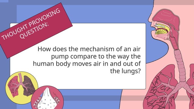 Respiratory System (Enhanced Science 9 Class).pptx