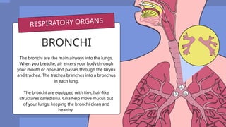 Respiratory System (Enhanced Science 9 Class).pptx