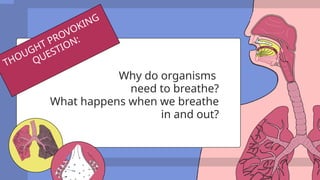 Respiratory System (Enhanced Science 9 Class).pptx