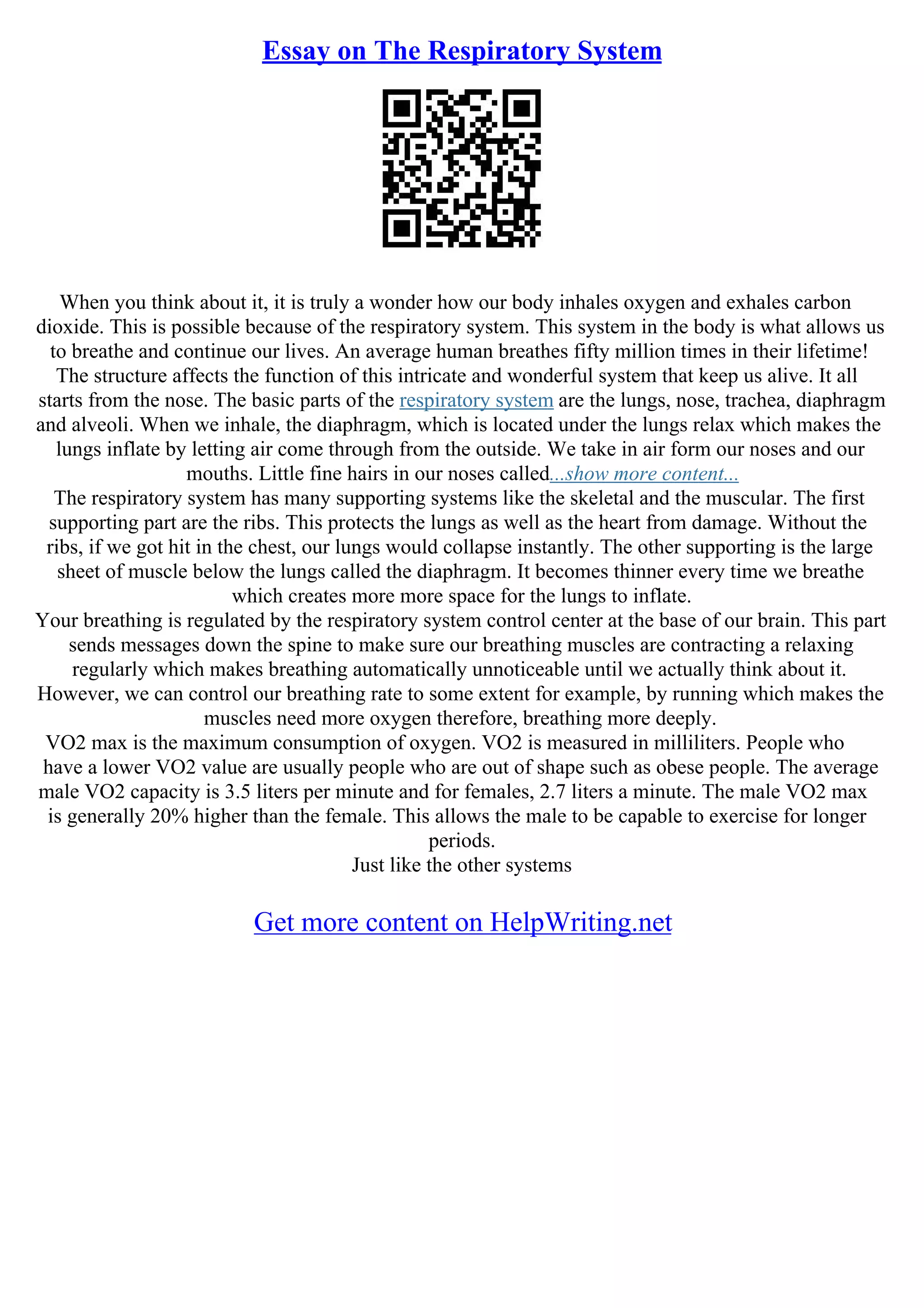 Respiratory System Essay | PDF