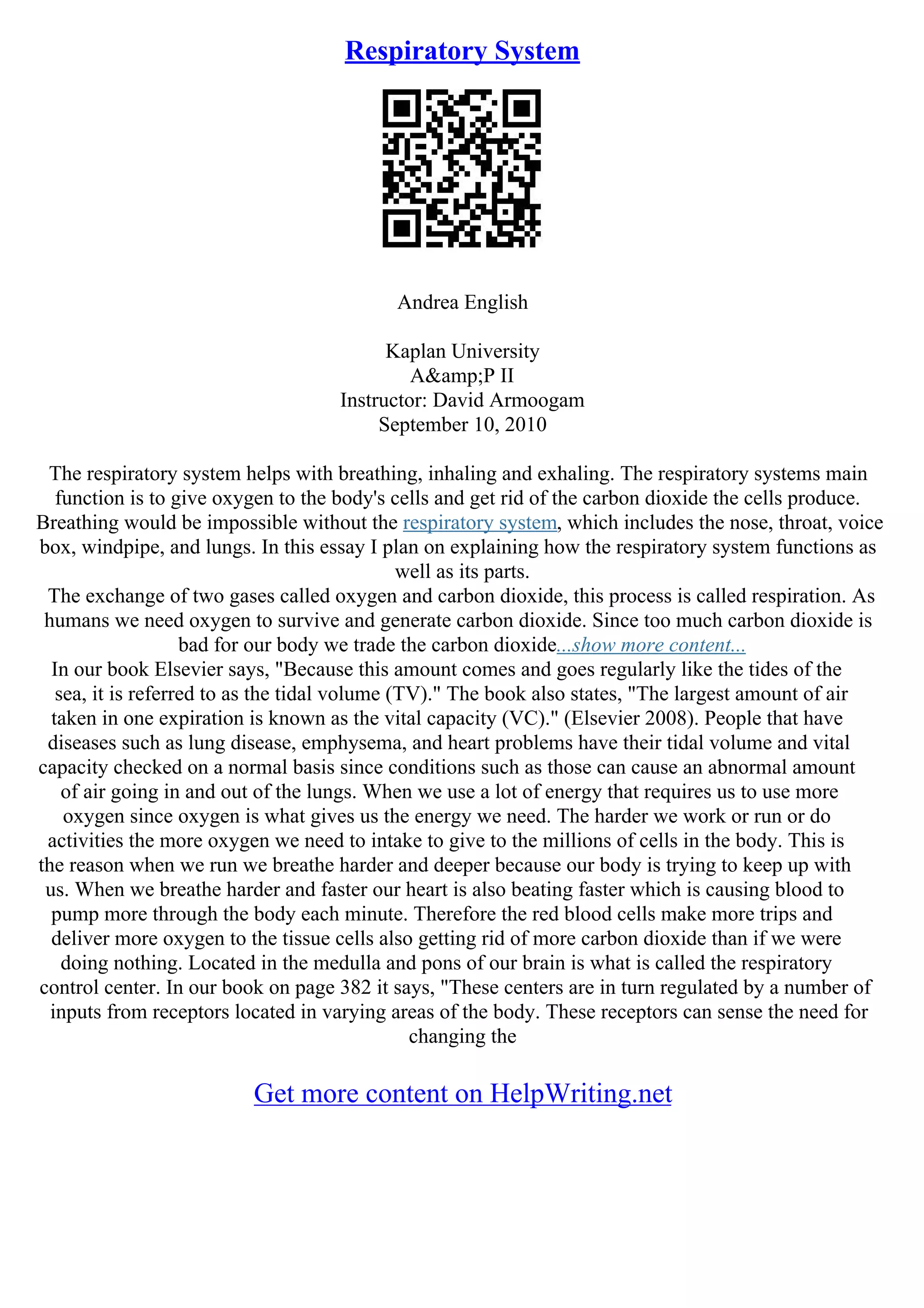 Respiratory System Essay | PDF