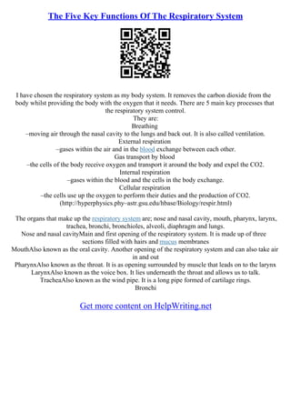Respiratory System Essay | PDF