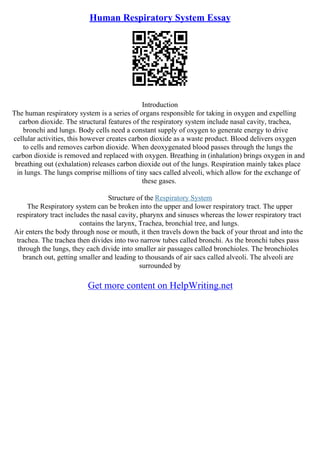 Respiratory System Essay | PDF